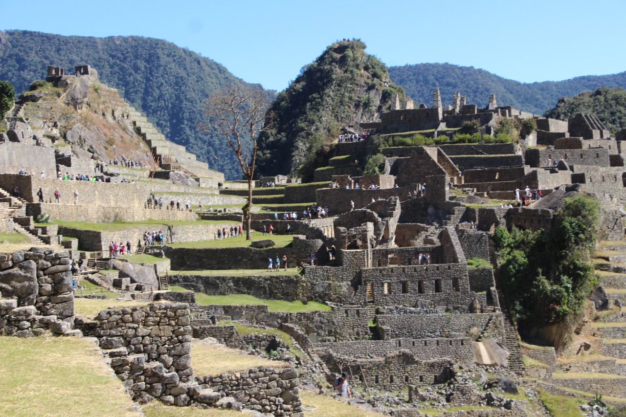 Cultura inca: legado y tradiciones - Alpaca Expeditions