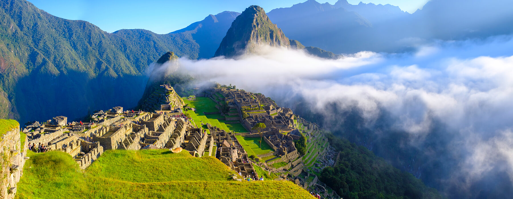 Discover Peru's Best Tourist Attraction with Alpaca Expeditions