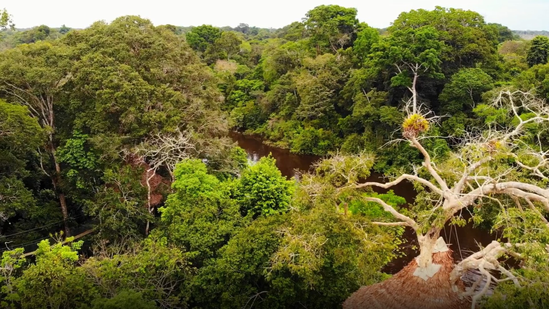 Lake Titicaca : Exploring Amazon, Cusco, and Lake Titicaca