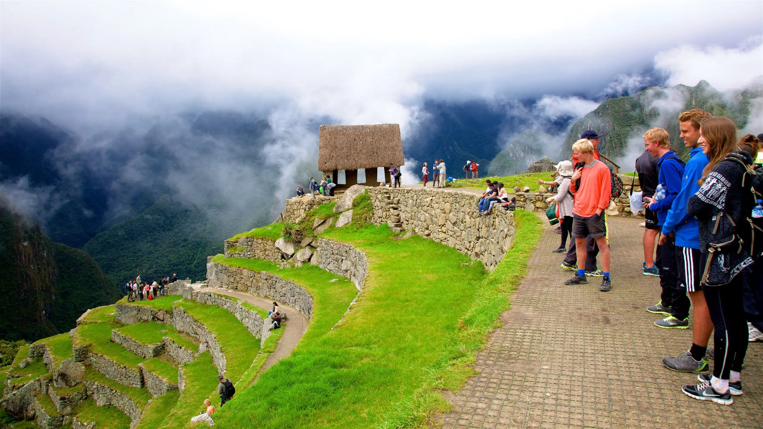 Alpaca Expeditions: Your Premier Choice for Guided Tours of Peru
