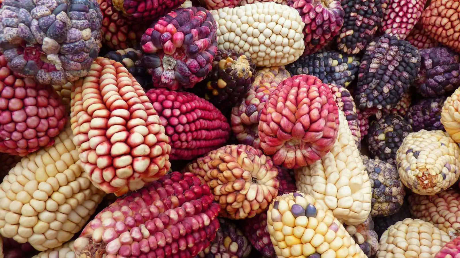 Peruvian Fruits & Vegetables: History & Flavor
